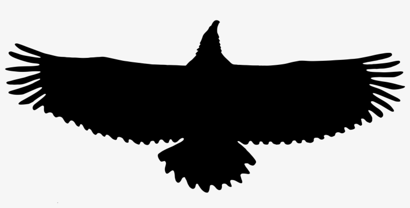 Bald Eagle - Silhouette Eagle - 2218x1018 PNG Download - PNGkit