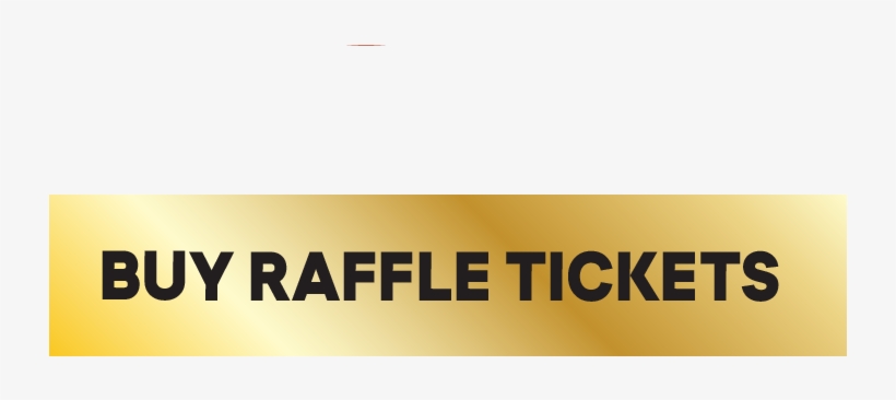 P4p2018 Headers-05 - 800x400 PNG Download - PNGkit