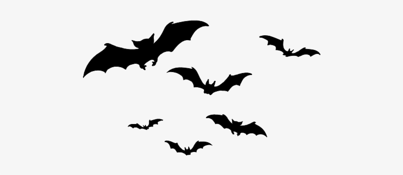 Download Transparent Bat Silhouette Png Pic - Bats Png - PNGkit