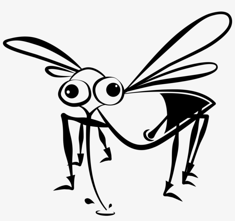Mosquito Annihilater - Insect Cartoon Black And White Png - 800x713 PNG ...