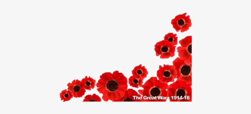 Ww2 Poppies, Ww1 Poppies - Ww1 Poppies Png - 443x301 PNG Download - PNGkit