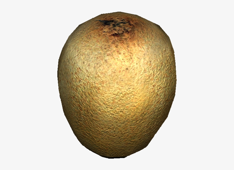 Kiwi - Wiki - 475x575 PNG Download - PNGkit