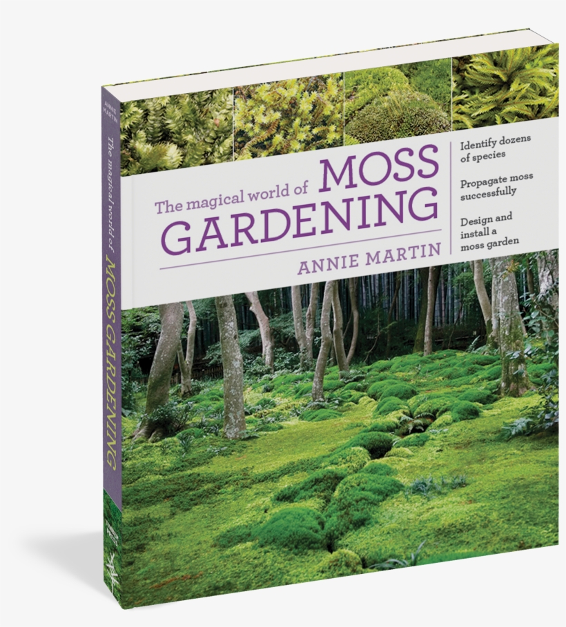 Cover - Magical World Of Moss Gardening [book] - 2250x2400 PNG Download ...