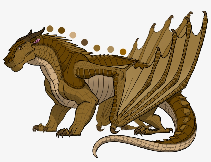 Marsh Is A Male Mudwing With An Unknown Description - Clay Wings Of ...