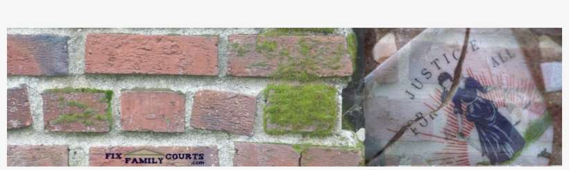 Divorce Wall Justice For All Banner W Logo - Reassessing Democracy By ...