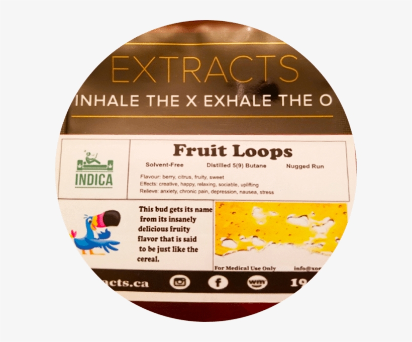 Xo Fruit Loops Shatter At Great Weed North - Kellogg's Froot Loops ...