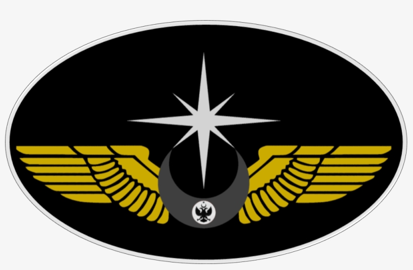 Ni Golden Winged Star - Nazi Germany World Domination - 1001x606 PNG ...