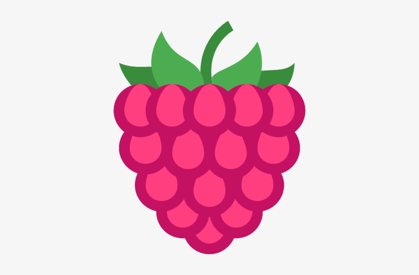 Raspberry Icon - 500x500 PNG Download - PNGkit