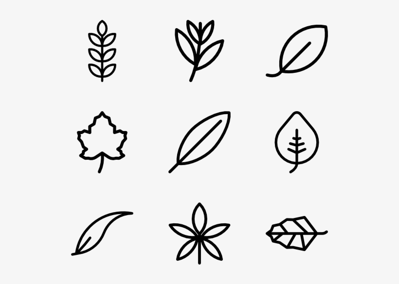 Download Transparent Leaves - Icon - PNGkit