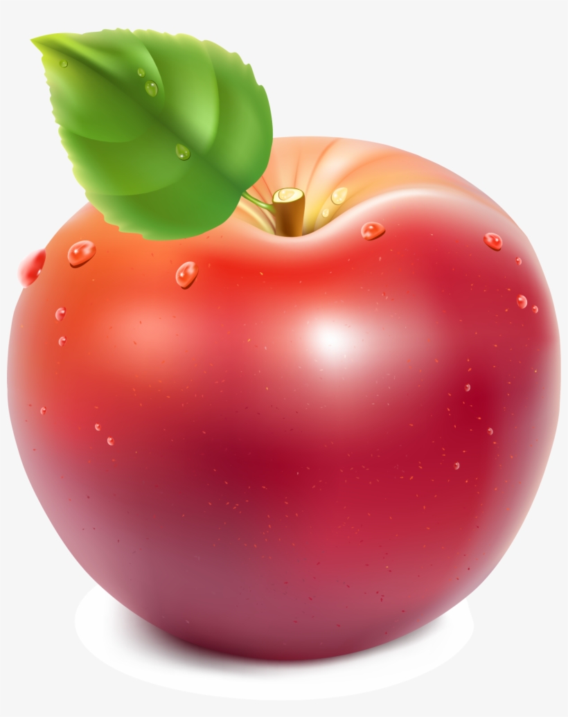 Apple Royalty-free Clip Art - Vector Graphics - 1500x1821 PNG Download ...