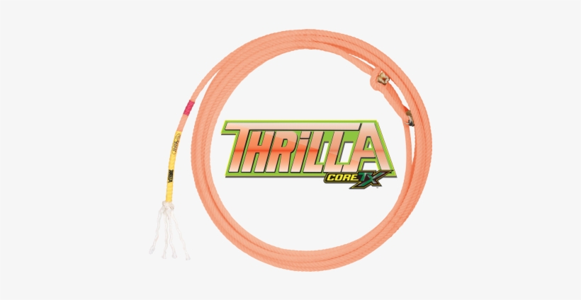 Cactus Ropes - Thrilla - Rope - 400x400 PNG Download - PNGkit