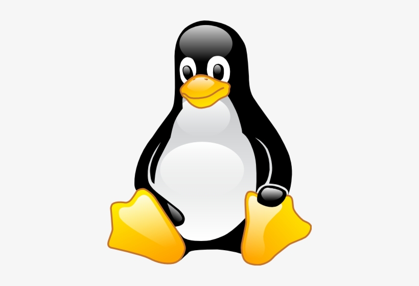 Animals/ Birds/ Cartoon/ Tux - Картинка Png - 400x479 PNG Download - PNGkit