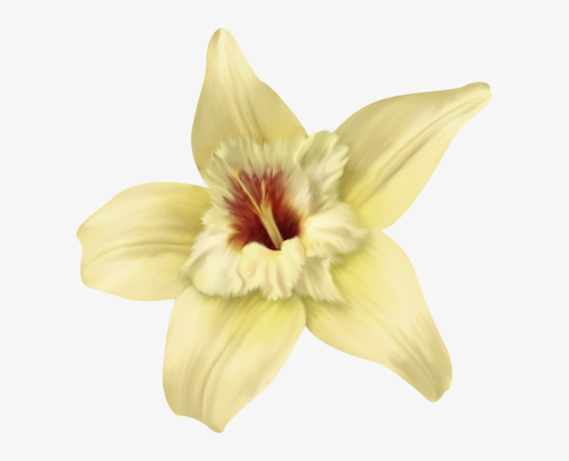 Fleurs - Page - Labrada Nutrition Lean Pro 8, Super Premium Protein ...