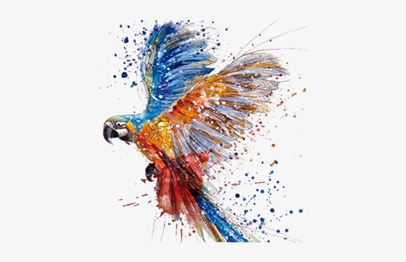 Parrot Watercolor Painting Drawing Art - Tattoo Arara Aquarela ...