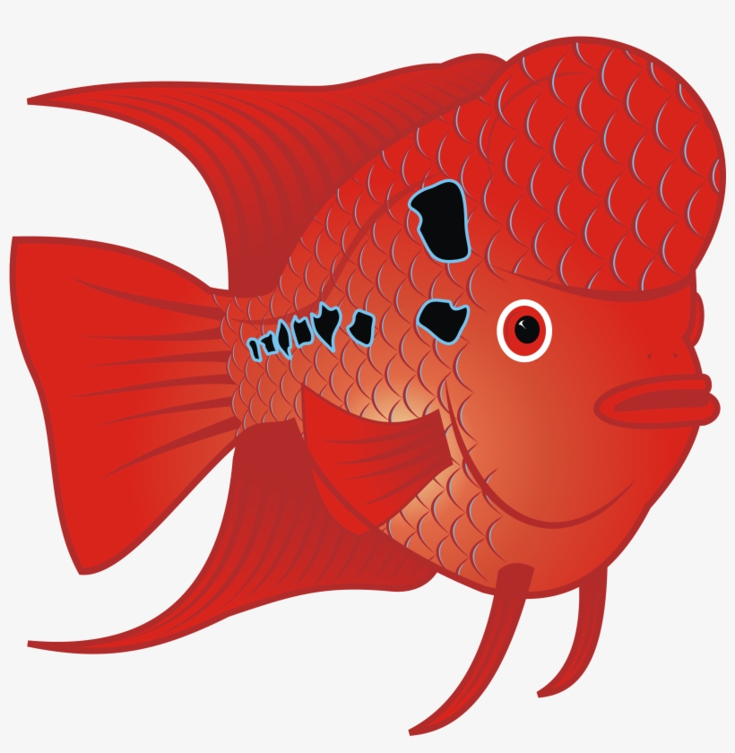 This Free Icons Png Design Of Red Goldfish - 2438x2400 PNG Download ...