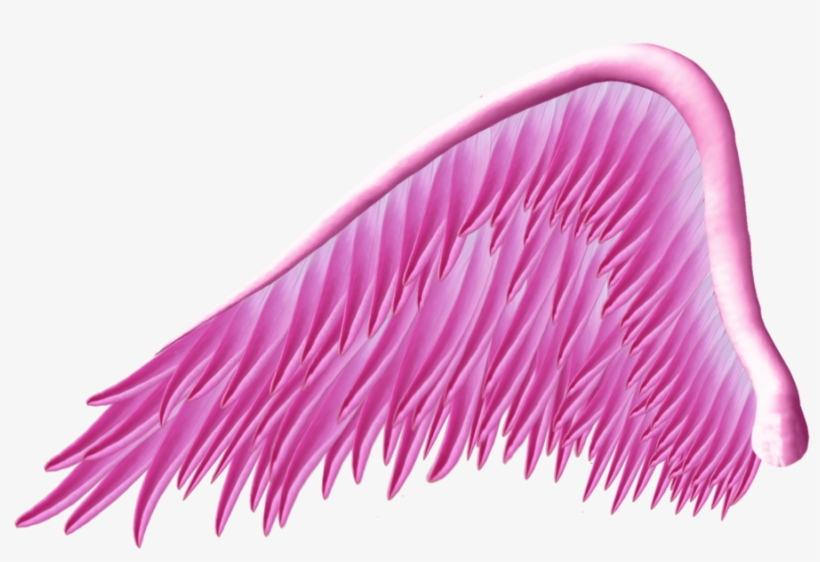 Pink Png High-quality Image - Pink Butterfly Wings Png - 900x573 PNG ...