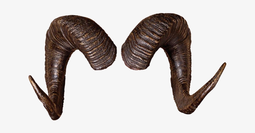 Download Transparent Rams Horns Png - Ram Horn Png - PNGkit