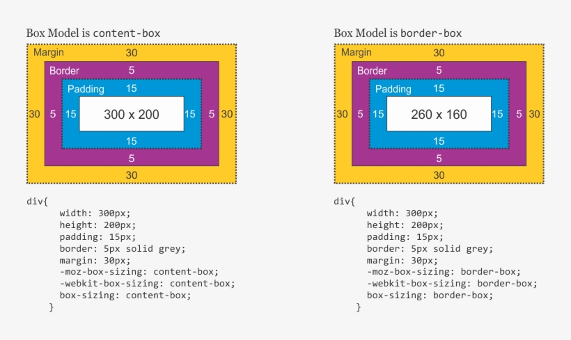 Download Transparent Enter Image Description Here - Css Box Model ...
