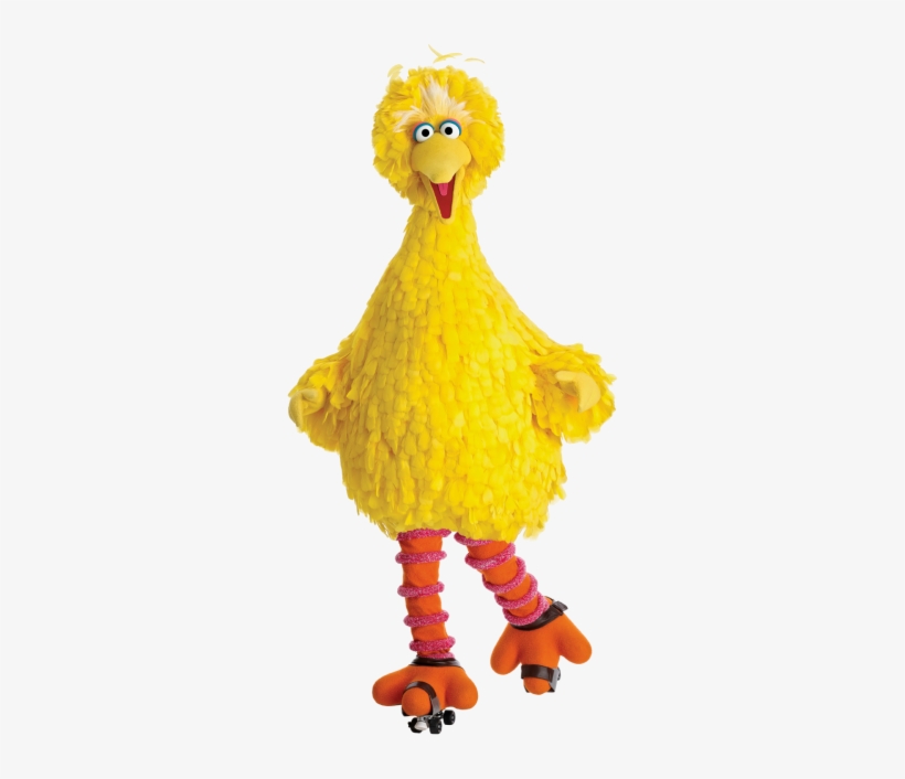 Big Bird Png - 300x626 PNG Download - PNGkit