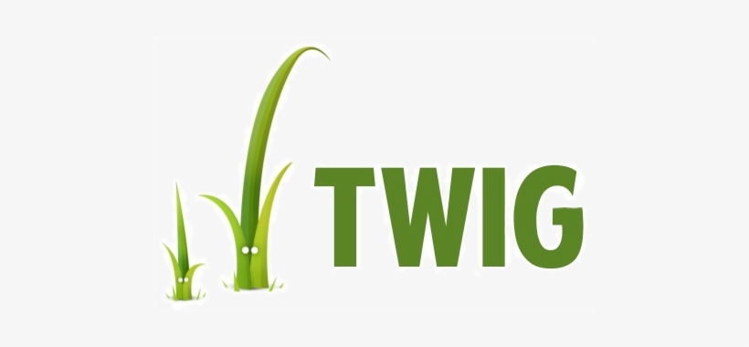 Twig Template - 482x300 PNG Download - PNGkit