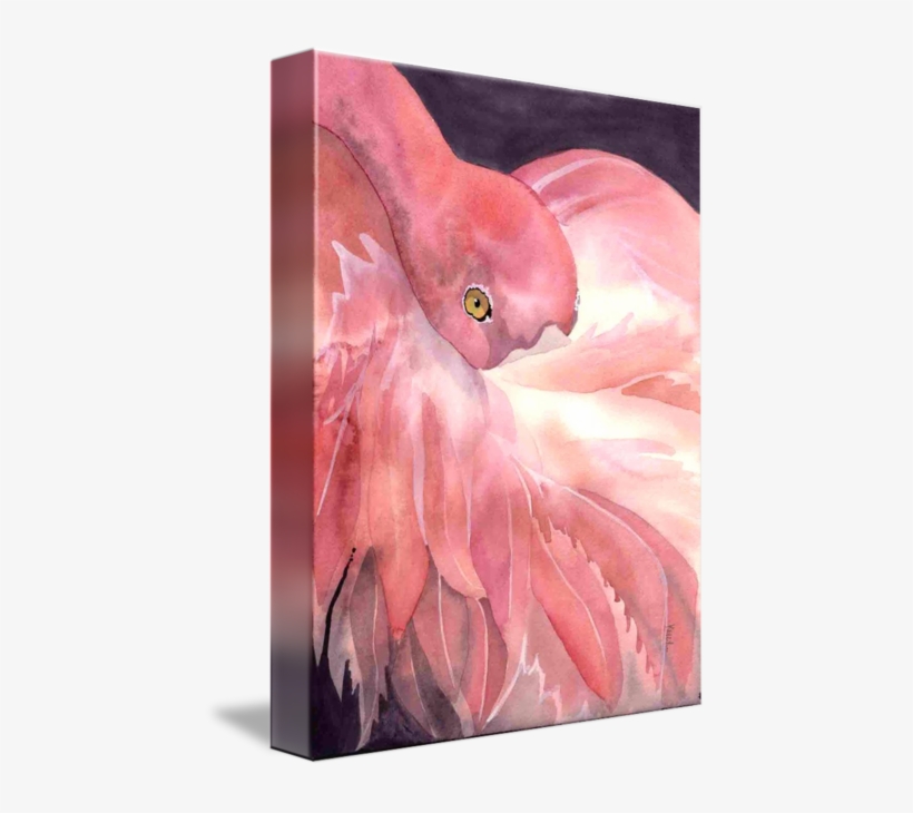 "flamingo" By Kelly Chester, San Jose // Sleeping Flamingo - Gallery ...