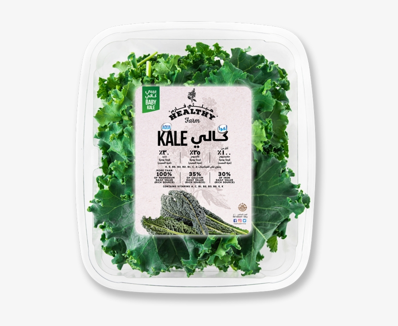 06 - Mixed Plant Seeds By Seed-balls.com - Mixed Kale Seed - 600x600 ...