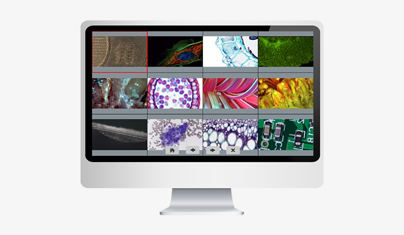 Cmos Camera - Microscope - 600x480 PNG Download - PNGkit