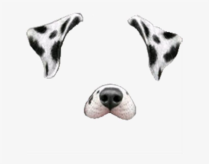 Snapchat Snapchatfilter Filter Dogface Dog Face White - Snapchat Dog ...