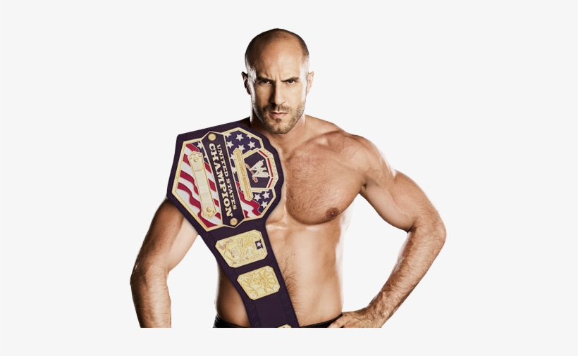 The Current Us Champion - Wwe Cesaro United States Champion - 451x426 ...