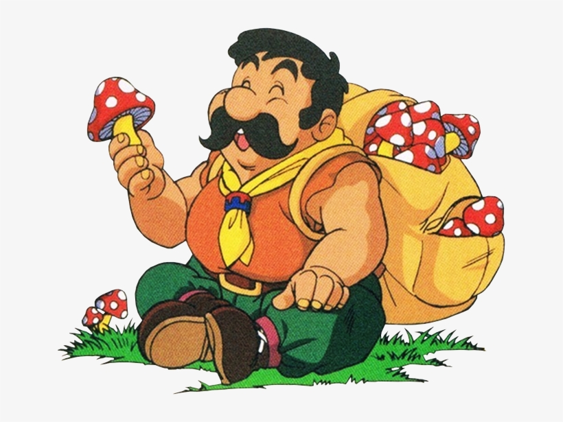 Legend Of Zelda Link's Awakening Tarin - 652x535 PNG Download - PNGkit