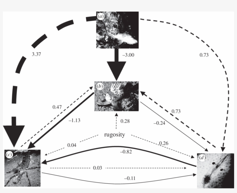 Download Transparent Path Model Measuring Direct And Indirect (curved ...