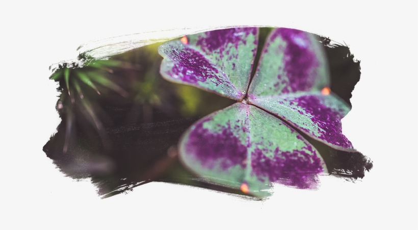 Download Transparent Today I Have A Free Download For You To Use As A ...