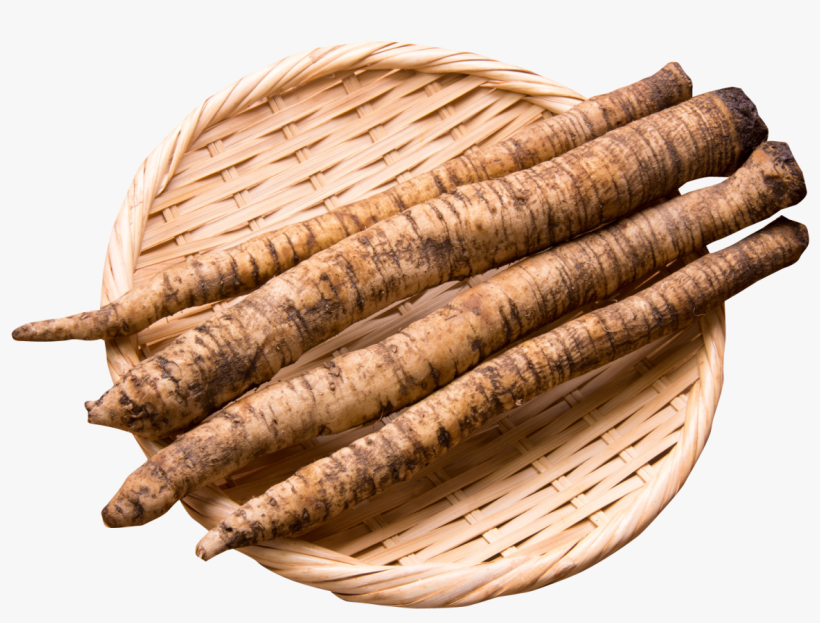 Burdock Root In Bowl Png Image - Greater Burdock Vegetable - 800x600 ...