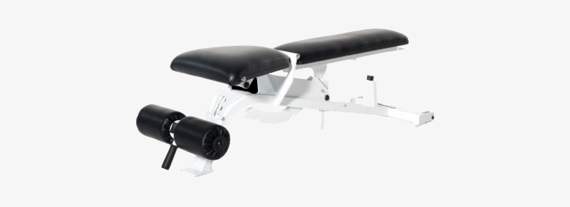 Pro Maxima Multi-adjustable Bench Pl-610 - 600x399 PNG Download - PNGkit