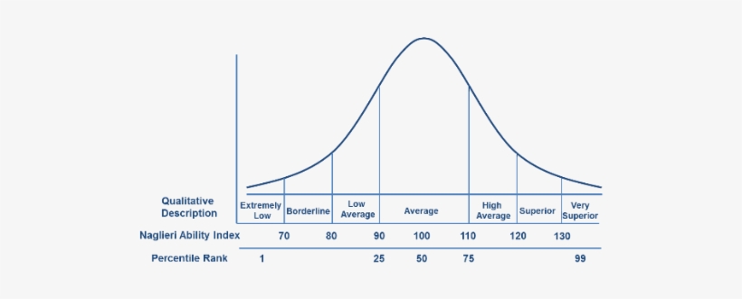 Nnat Scores Sample - Information - 520x258 PNG Download - PNGkit