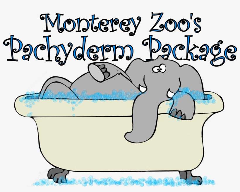 Pachyderm Package Logo - Elephant In A Bathtub - 1469x1134 PNG Download ...