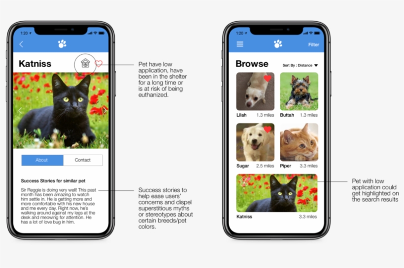 Less Popular Pets - Portable Network Graphics - 1000x566 PNG Download ...