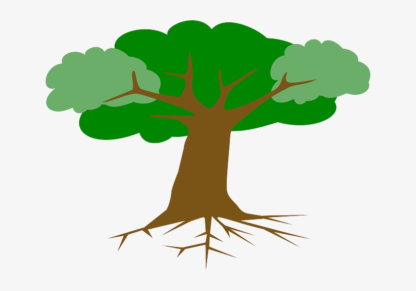 Download Transparent Tree, Roots, Leaves, Cross Section, Plant ...