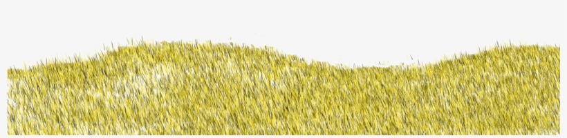 Download Transparent Drygrass - Field - PNGkit