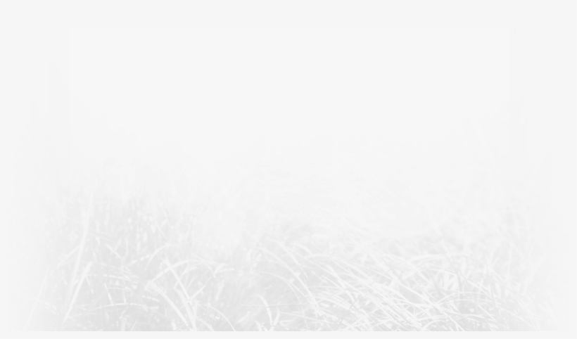 Download Transparent Frozen Overlay Png - PNGkit