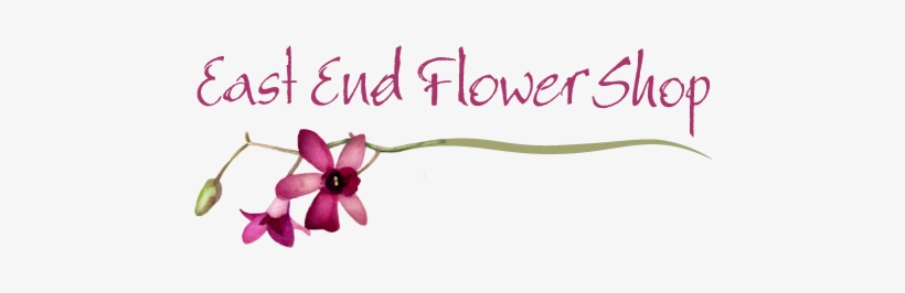 Logo - Flower End - 516x270 PNG Download - PNGkit
