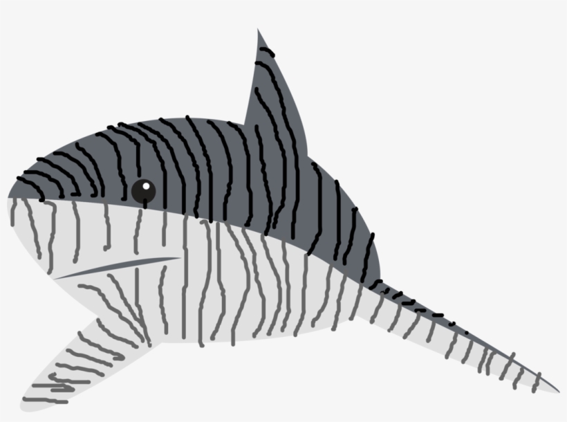 Tiger Shark Drawing Line Art Great White Shark - Shark Vector ...