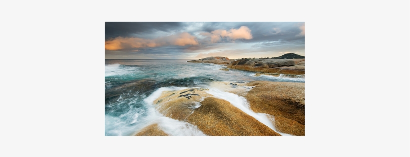 Letty And The Twins - The Original Classic Edition - 400x400 PNG ...