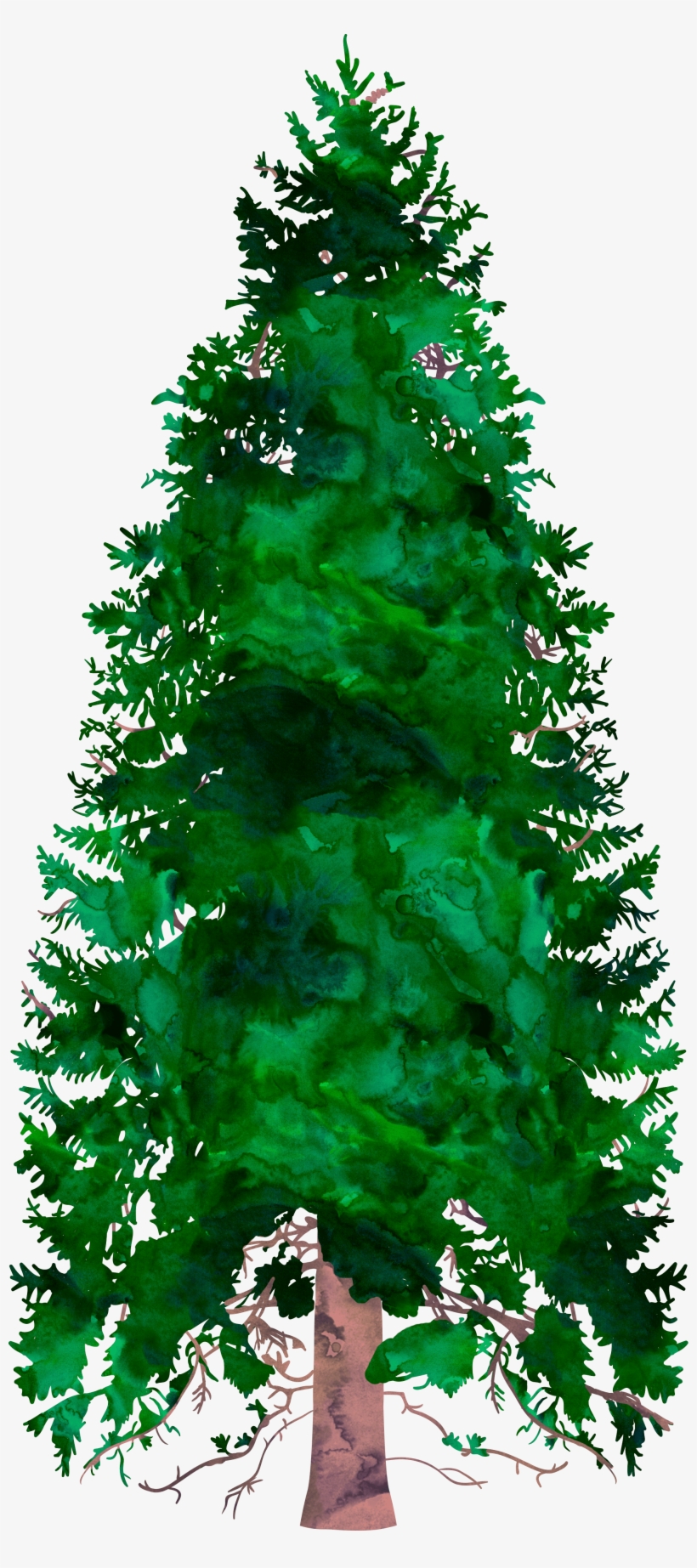 Register - Christmas Tree - 2004x4412 PNG Download - PNGkit