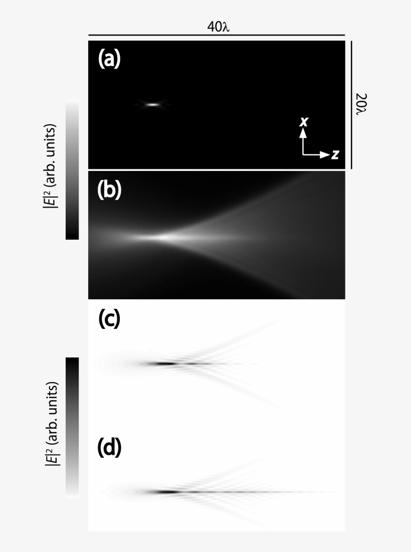Lateral Focal Patterns In The X-z Direction Of A Light - Objective ...