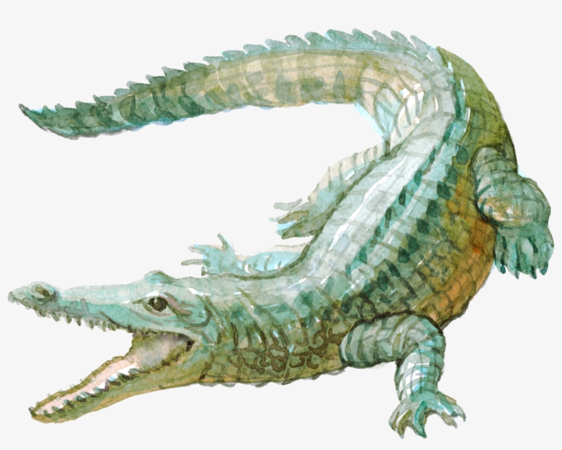 Jpeg Aligator Beetle - 1000x1000 PNG Download - PNGkit