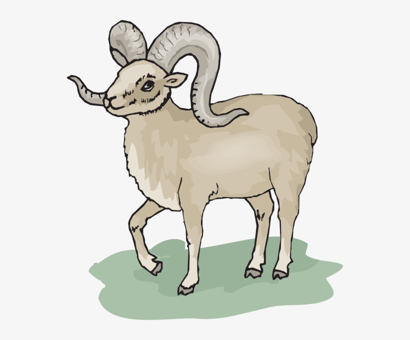 Clipart Of Rams