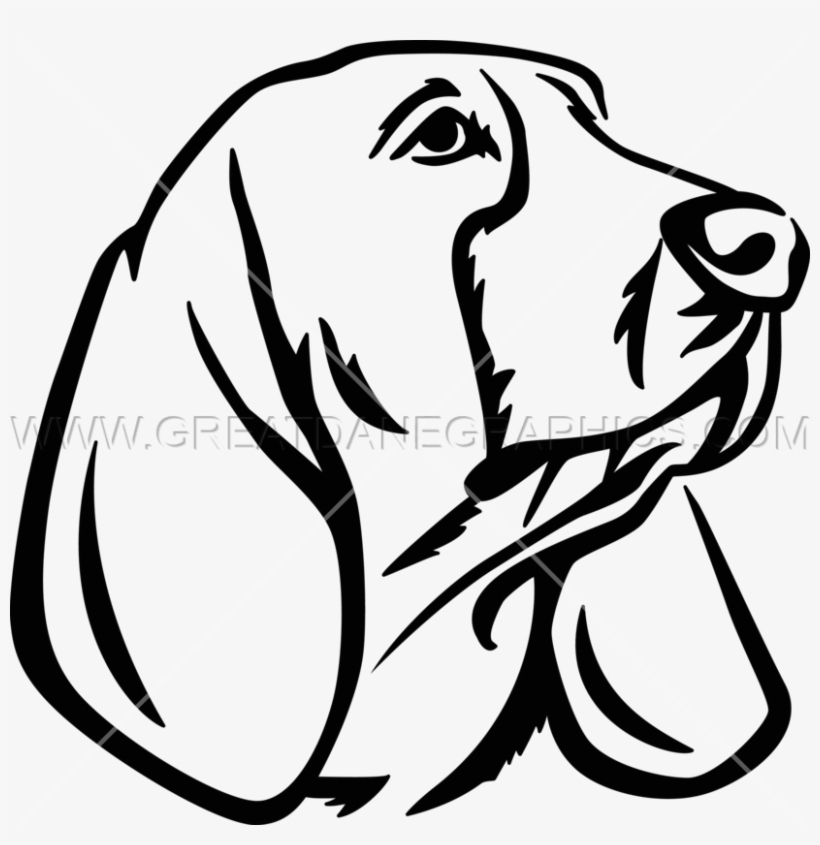 Png Basset Hound Drawing At Getdrawings Com Free - Easy Basset Hound ...