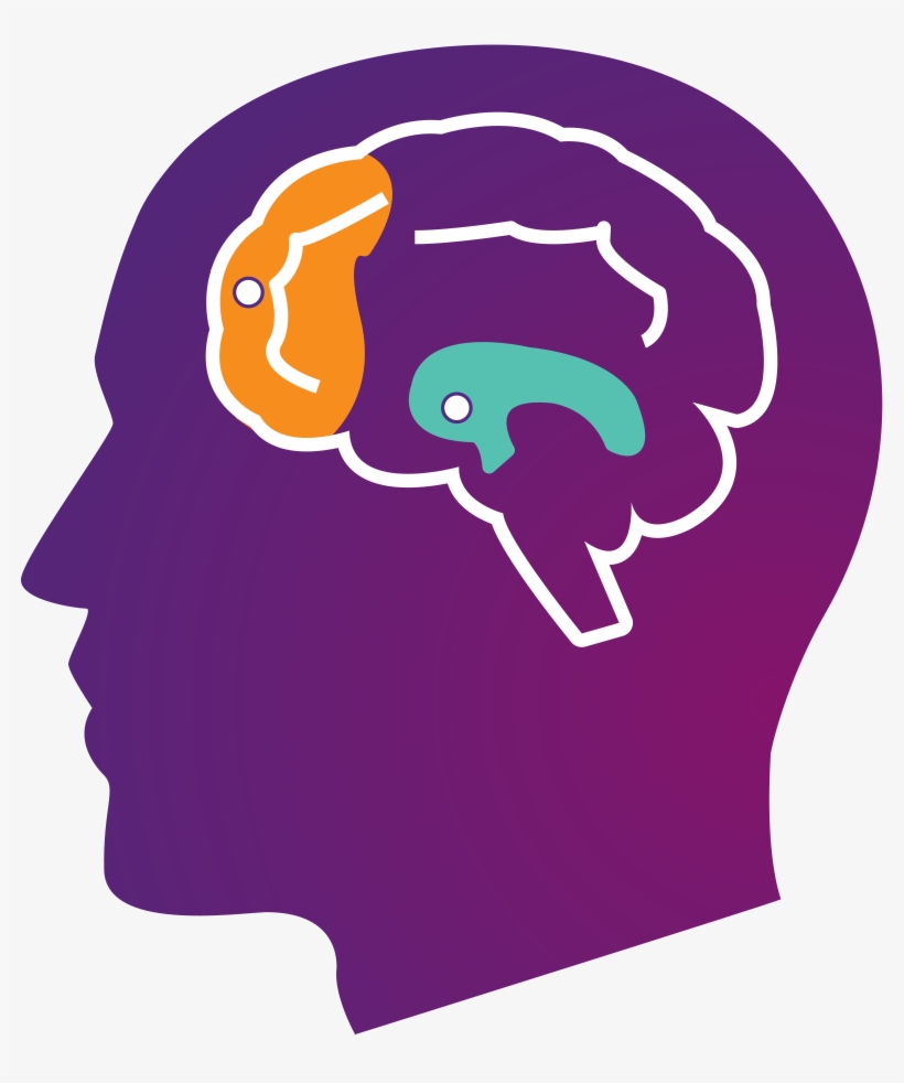 This Is Your Brain On Stress - Stressed Brain Clipart - 784x902 PNG ...