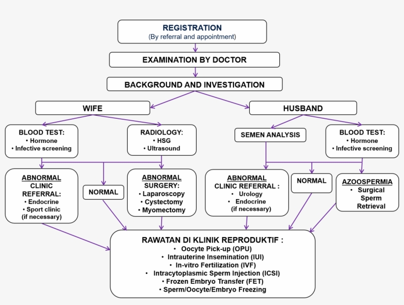 Download Transparent Flow Chart Of Treatment In Reproductive Clinic ...